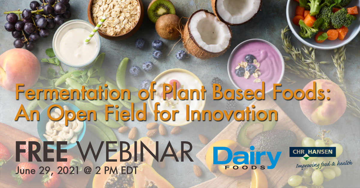 Fermentation of Plant Based Foods: An Open Field for Innovation ...