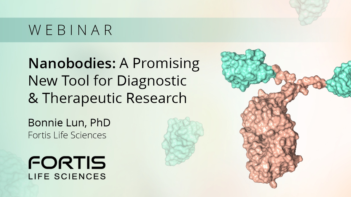 Nanobodies: A Promising New Tool for Diagnostic and Therapeutic ...